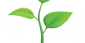 Green Payroll and Why It Matters: Help Your Business Thrive | Payroll Vault